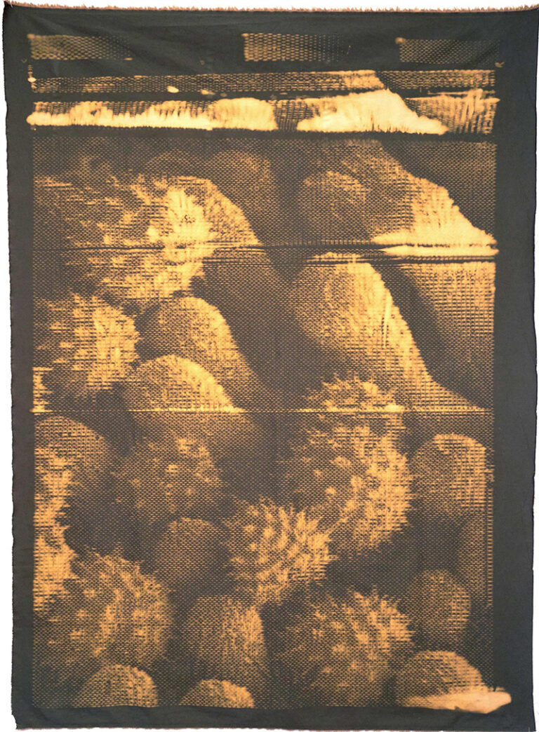 Olek | COLLECTIF TEXTILE